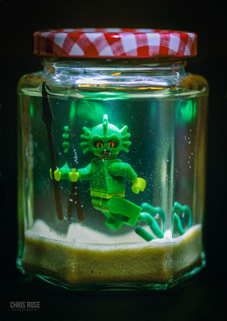 Swamp Monster – Toy Photographers