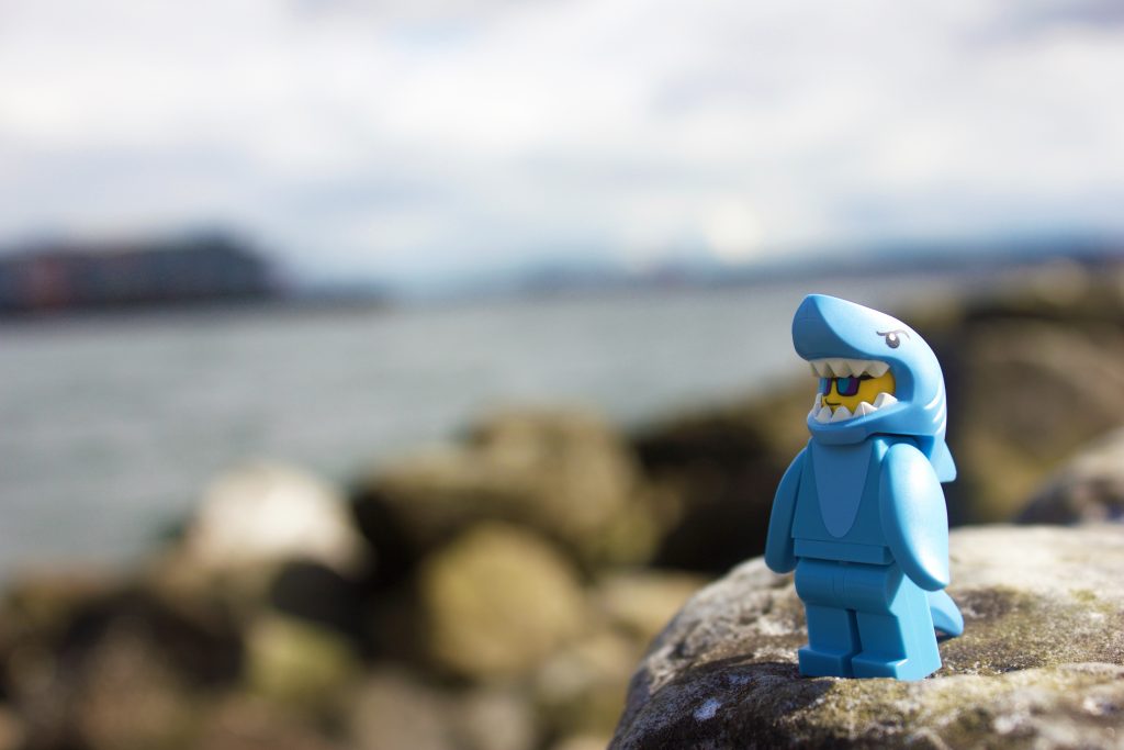 Jawesome High Res - Toy Photographers