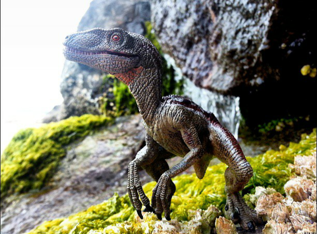 My Raptor Pack Turns Three - Toy Photographers