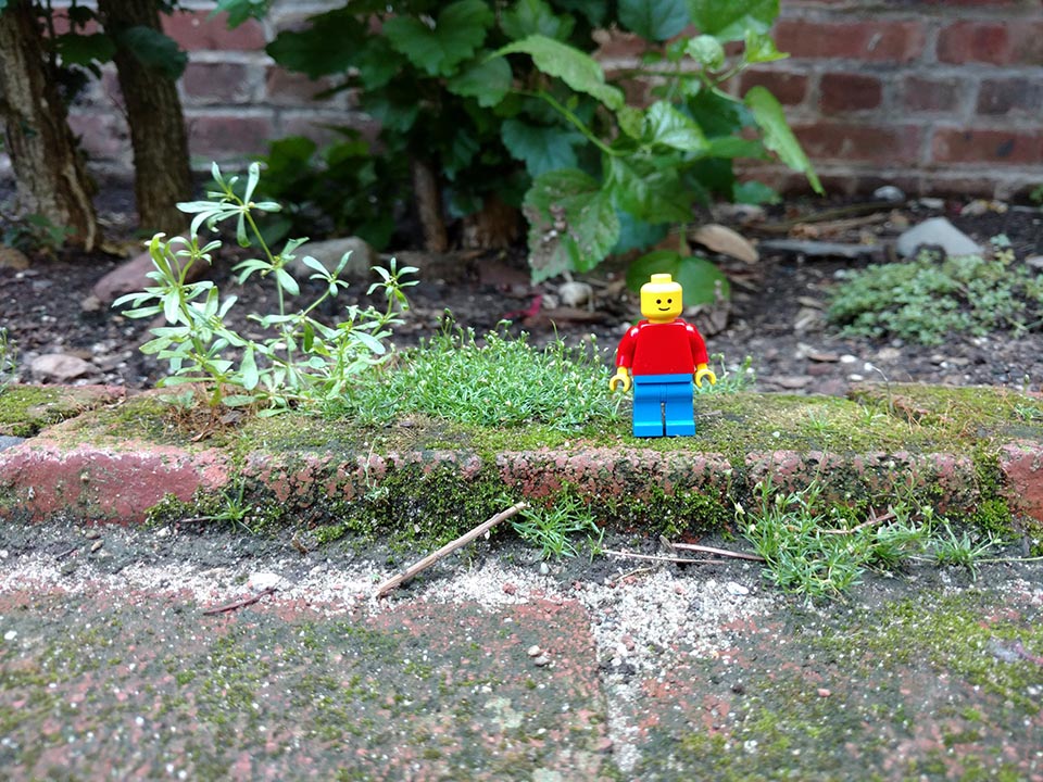 Leveling Up With LEGO - Toy Photographers