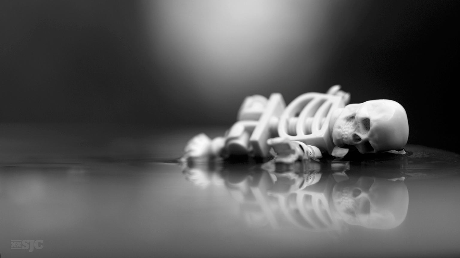 skeleton-reflection-bw-wm – Toy Photographers