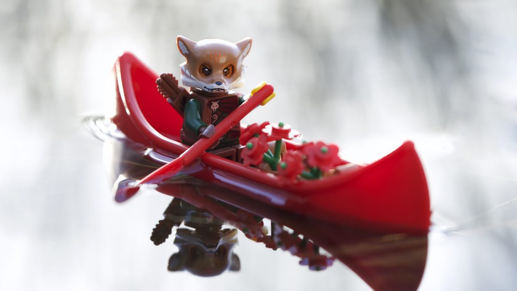 Chima Fox in canoe with red flowers - Toy Photographers