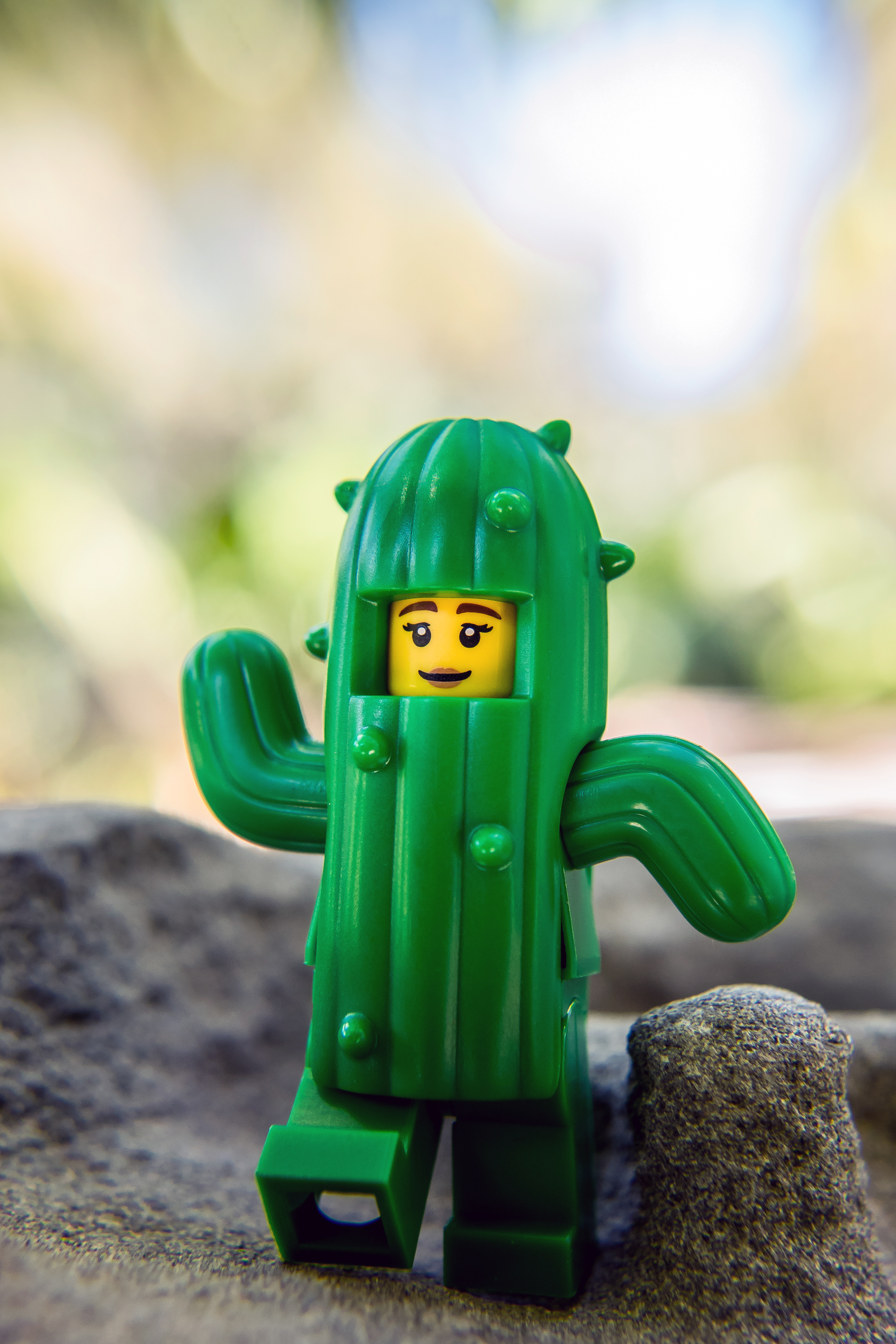 Series 18: Cactus Run! - Toy Photographers