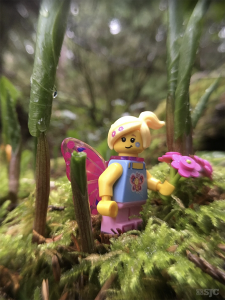 Shelly Corbett - Toy Photographers