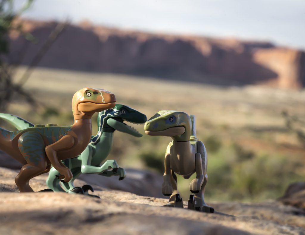 three raptors in Arches – Toy Photographers