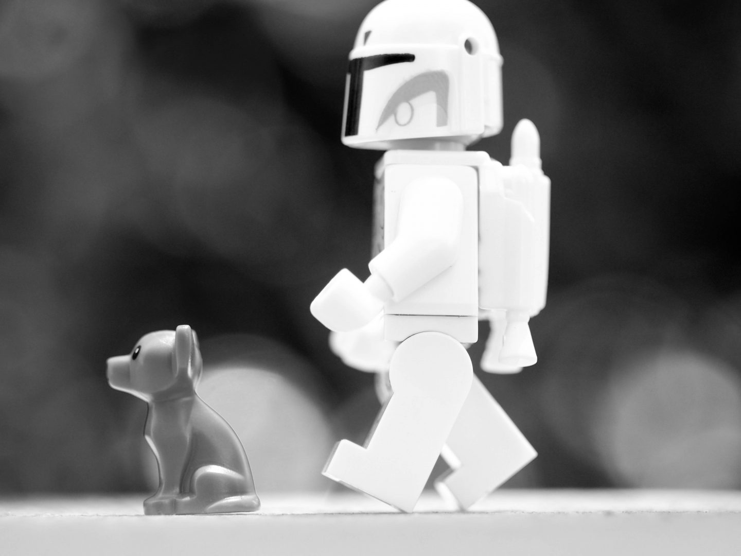 Space Dog - Toy Photographers