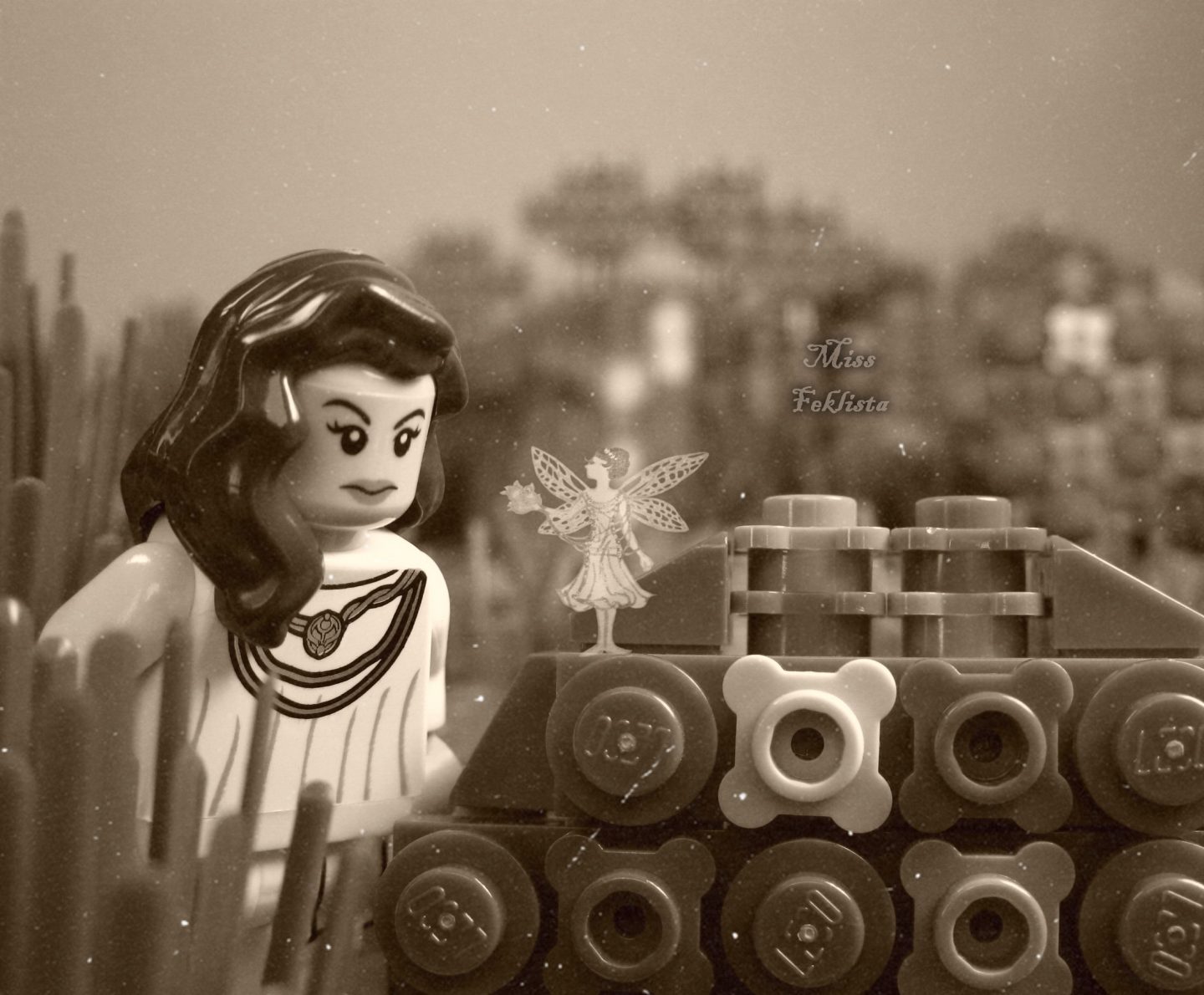 Pictorialism and Toy Photography - Toy Photographers