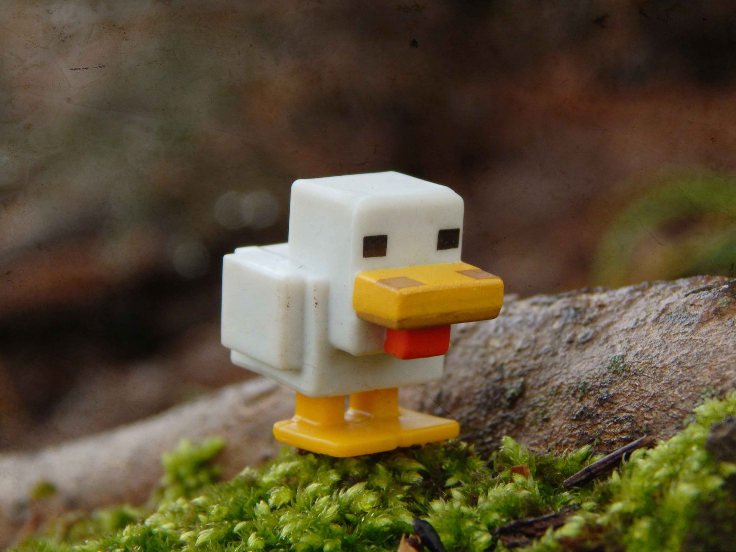 Chicken-derp - Toy Photographers