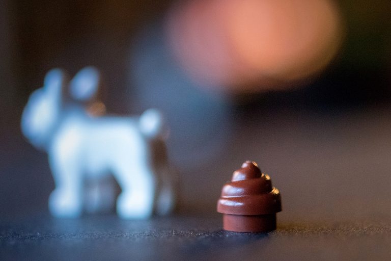 The LEGO Collectible Minifigures Series 19 Review - Toy Photographers