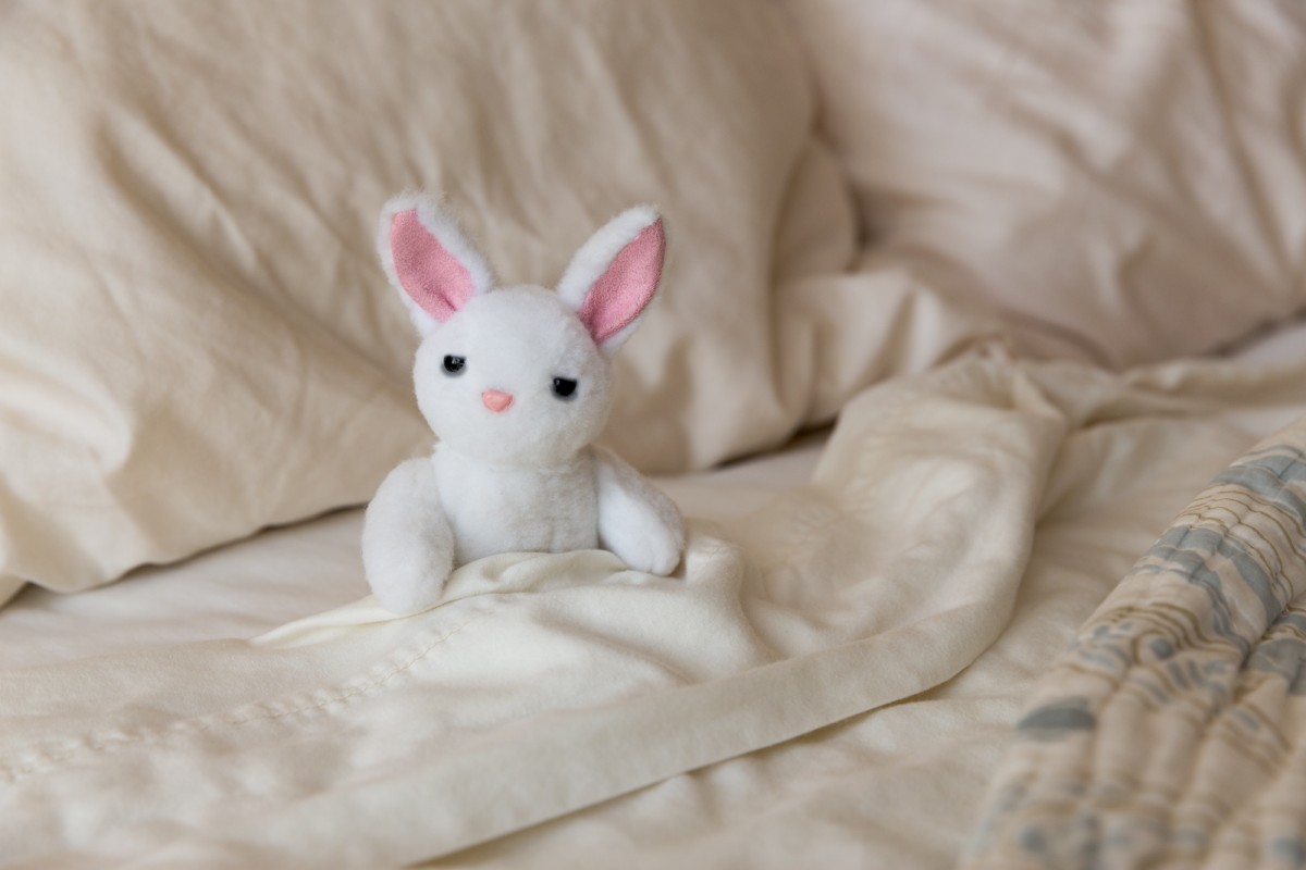 Mia the Rabbit: Shooting a Custom Plush Character
