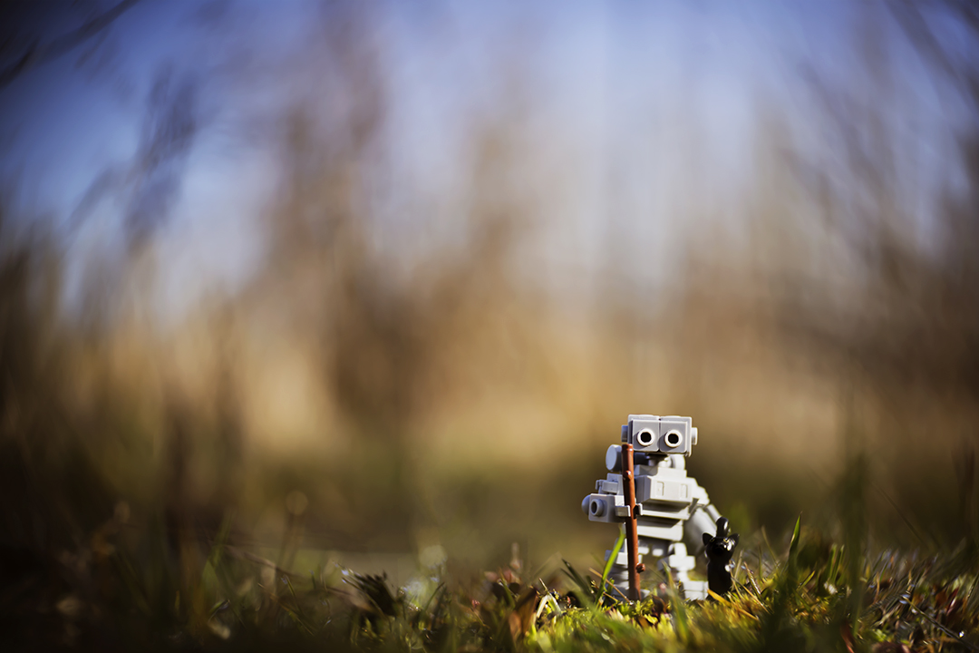 Keiko small robot, big world - Toy Photographers
