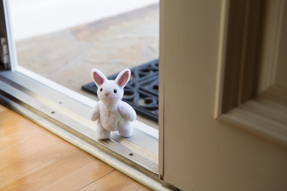 Mia the Rabbit: Shooting a Custom Plush Character