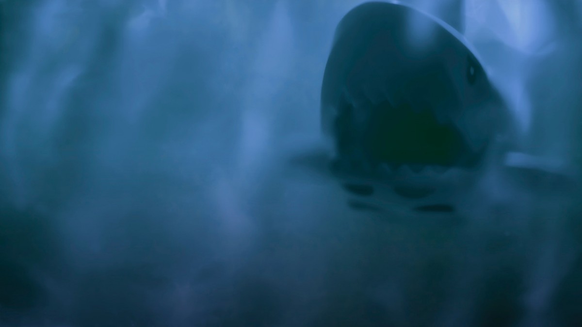 shark-in-the-abyss - Toy Photographers