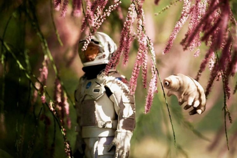 In Memoriam: Remembering Toy Photographer Dave Towery