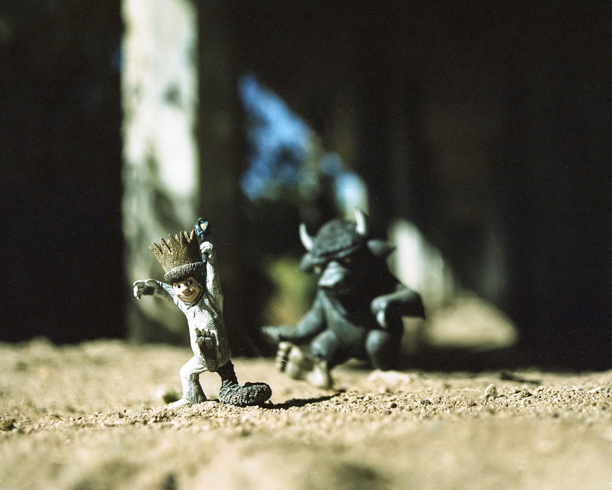 Toy Photographers Pay Tribute to Dave Towery's Enduring Vision