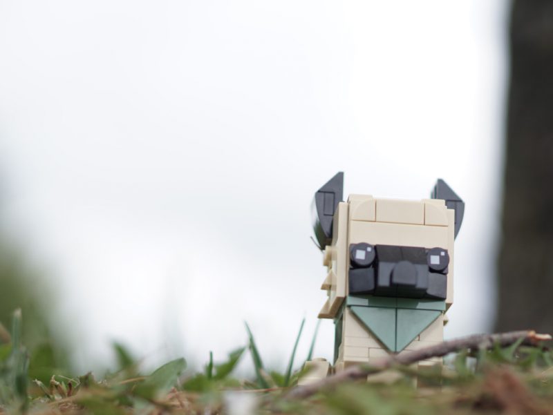 LEGO Animal BrickHeadz: A Difficult Review - Toy Photographers