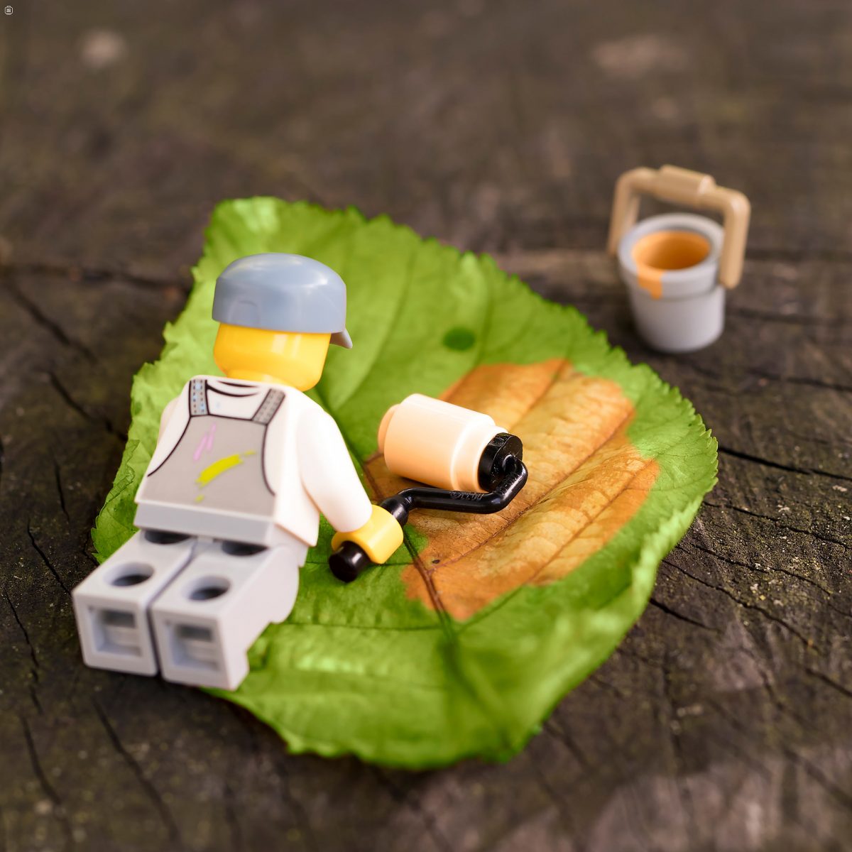 Toy Photo Feature Friday: Jeremy Rider aka Jezbags