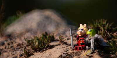 Muppet Guard - A Walk to Remember in Six LEGO Photos