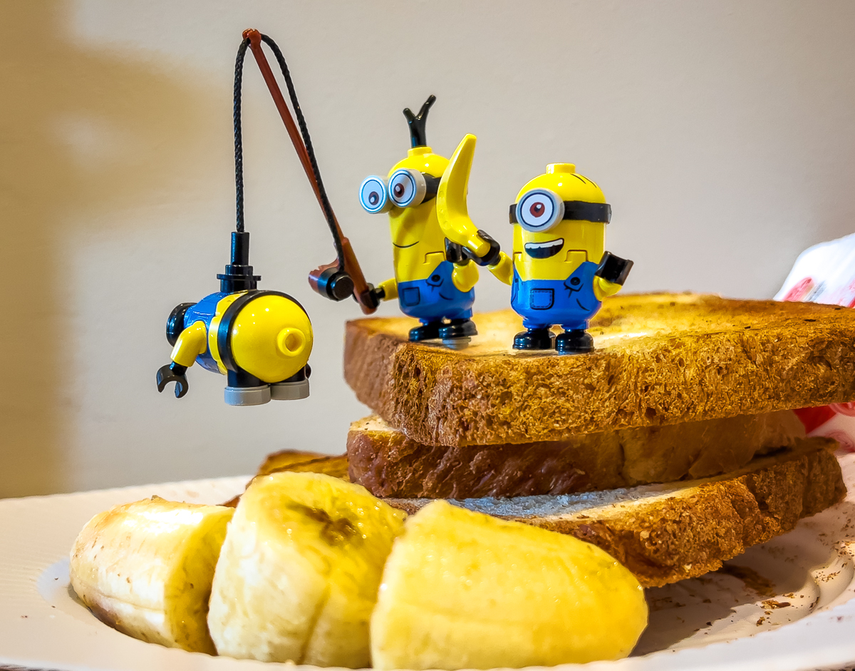 QUARANTINE! - Toy Photographers