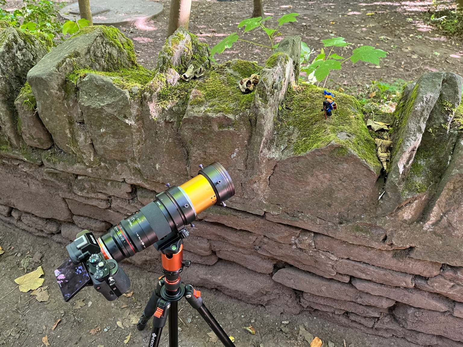 Why I shoot anamorphic - Toy Photographers