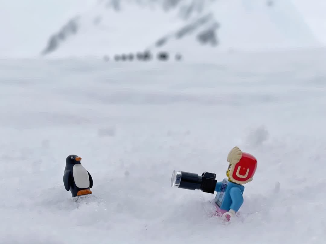Toy Photography in Antarctica - A Tale of Two Photographers - Toy ...
