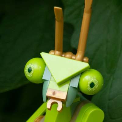LEGO Insect Collection (#21342) Review - Toy Photographers