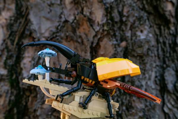 LEGO Insect Collection (#21342) Review - Toy Photographers