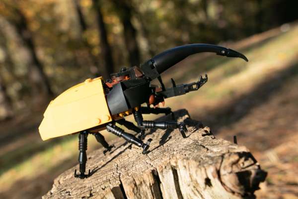 LEGO Insect Collection (#21342) Review - Toy Photographers