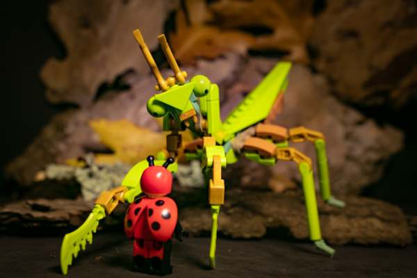 LEGO Insect Collection (#21342) Review - Toy Photographers