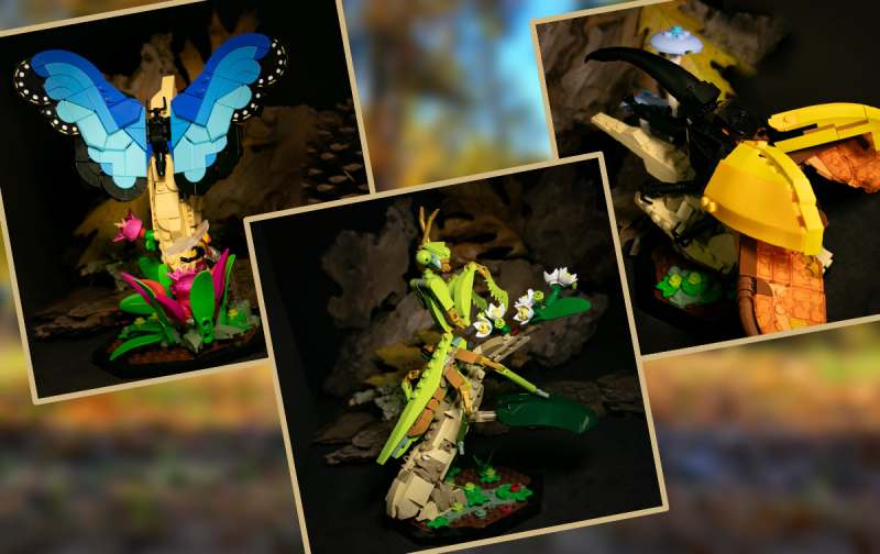LEGO Insect Collection (#21342) Review - Toy Photographers
