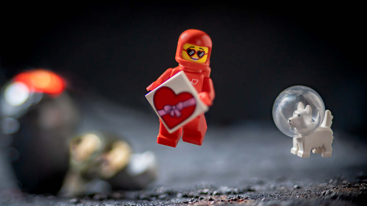 Shelly Corbett, Author at Toy Photographers