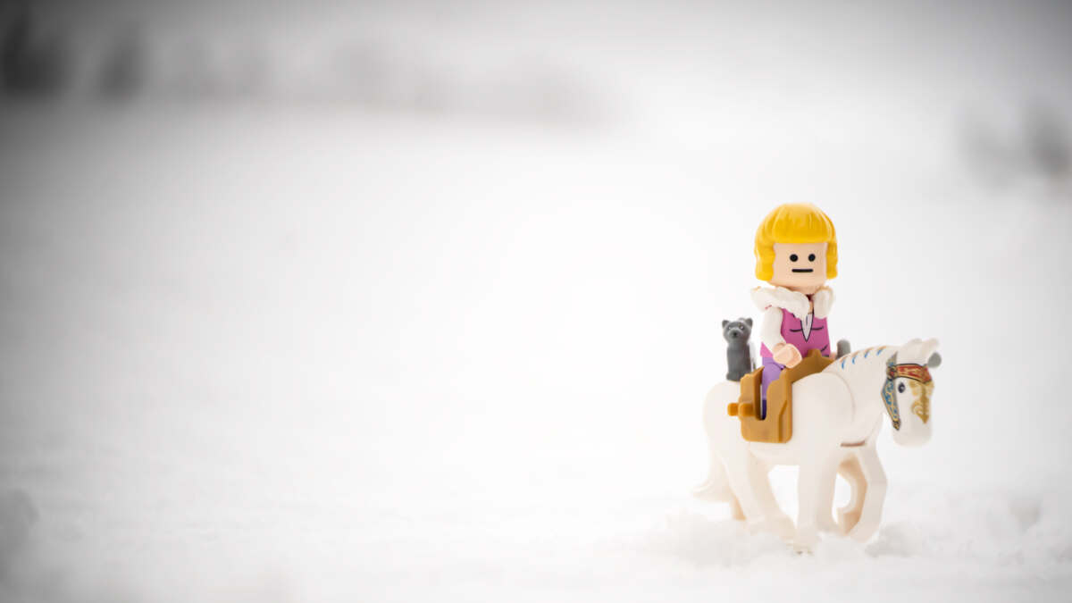 Shelly Corbett, Author at Toy Photographers
