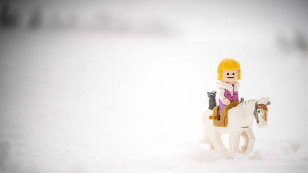 Shelly Corbett, Author at Toy Photographers