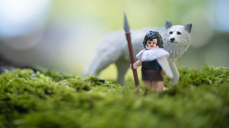 Shelly Corbett, Author at Toy Photographers