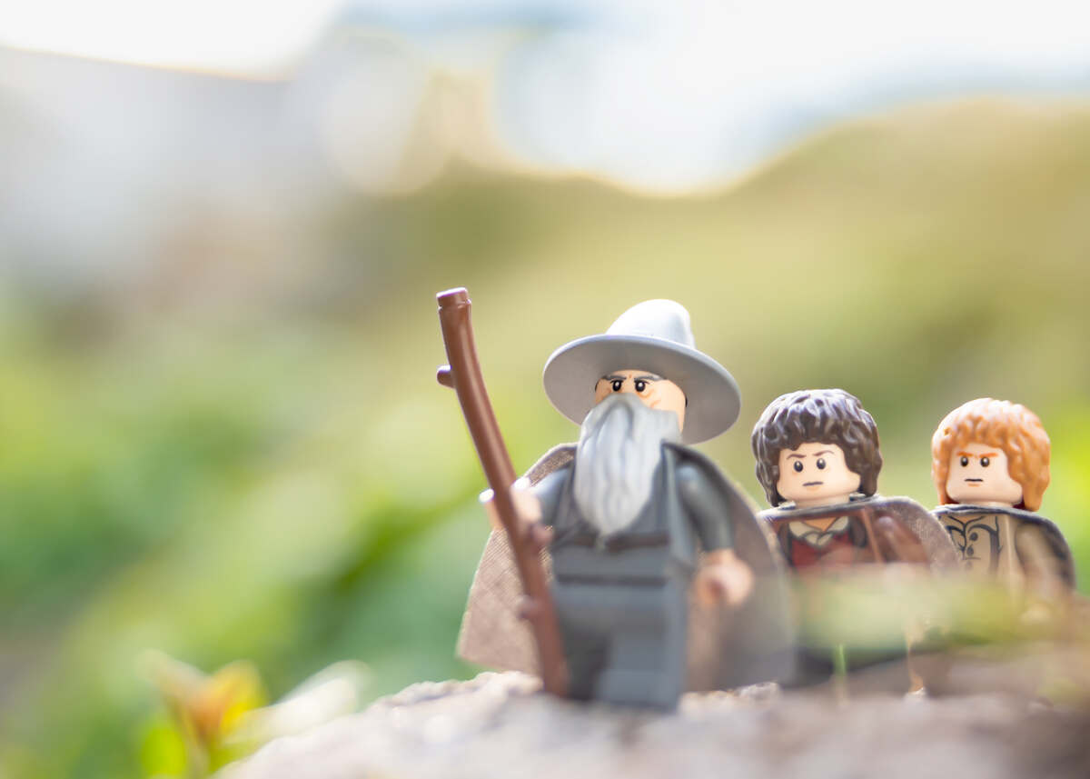 Shelly Corbett, Author at Toy Photographers