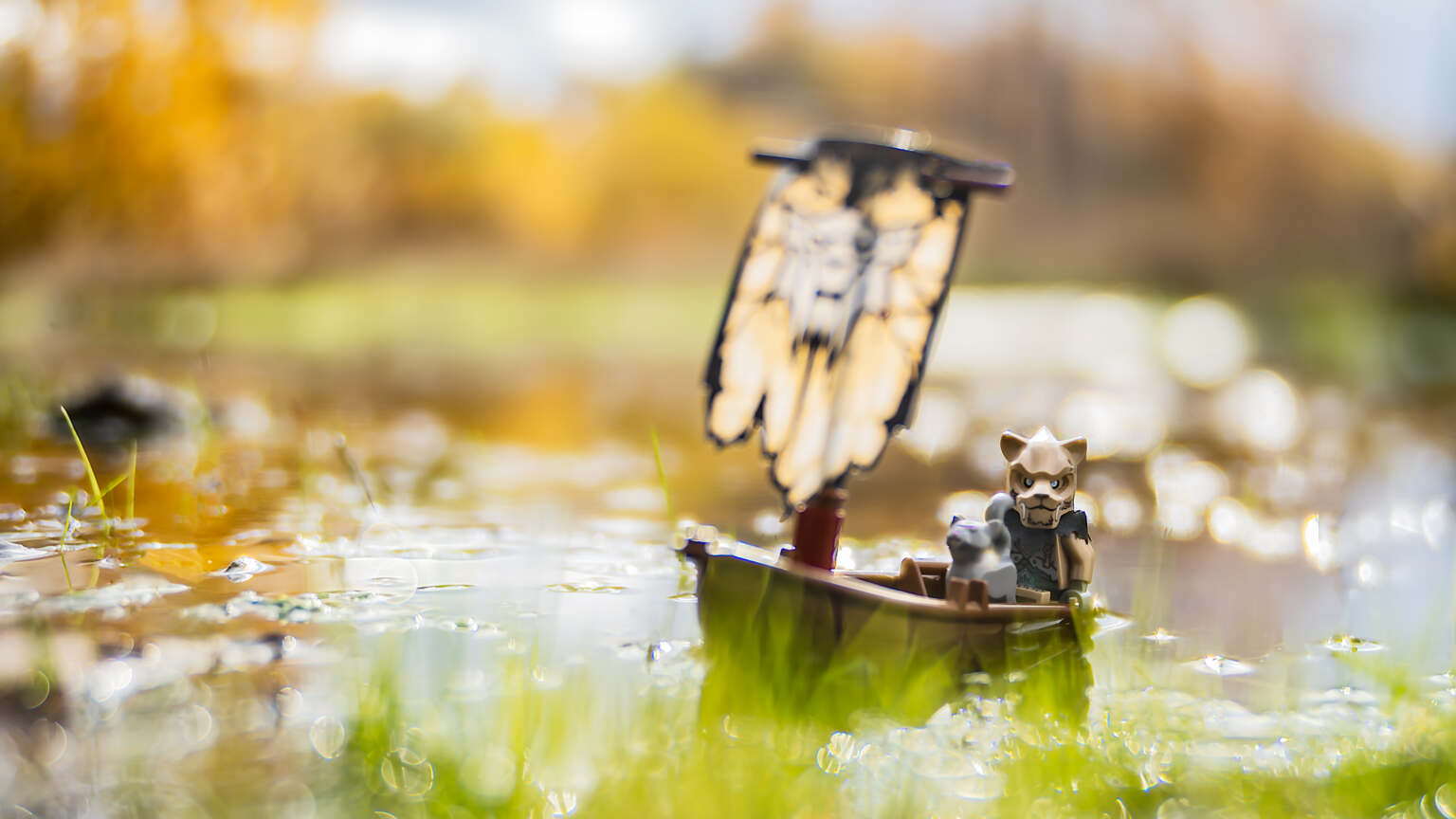 Add foreground interest to your images - Toy Photographers