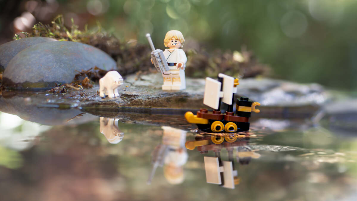 Shelly Corbett, Author at Toy Photographers