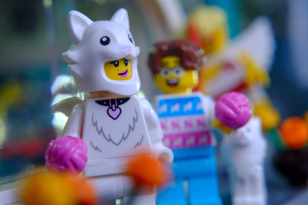 Animal Collective - a 28th series of CMF photo review - Toy Photographers