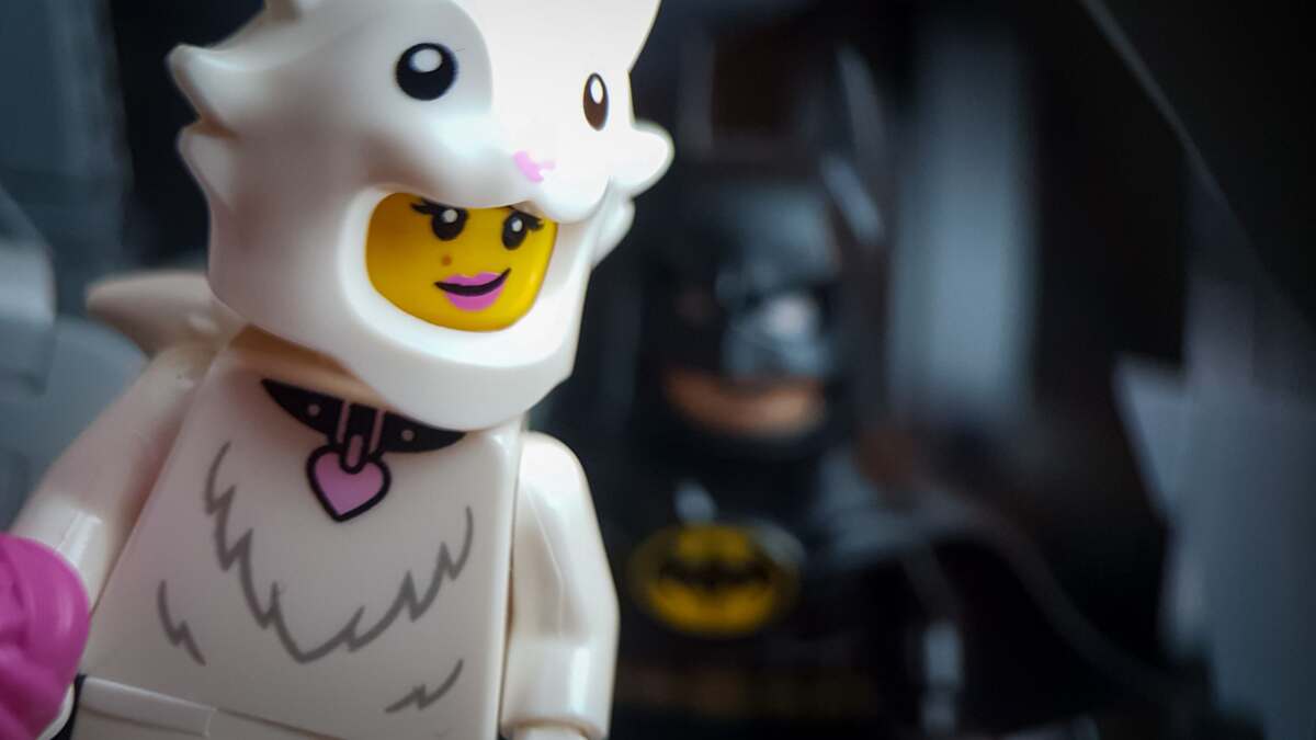 Animal Collective - a 28th series of CMF photo review - Toy Photographers